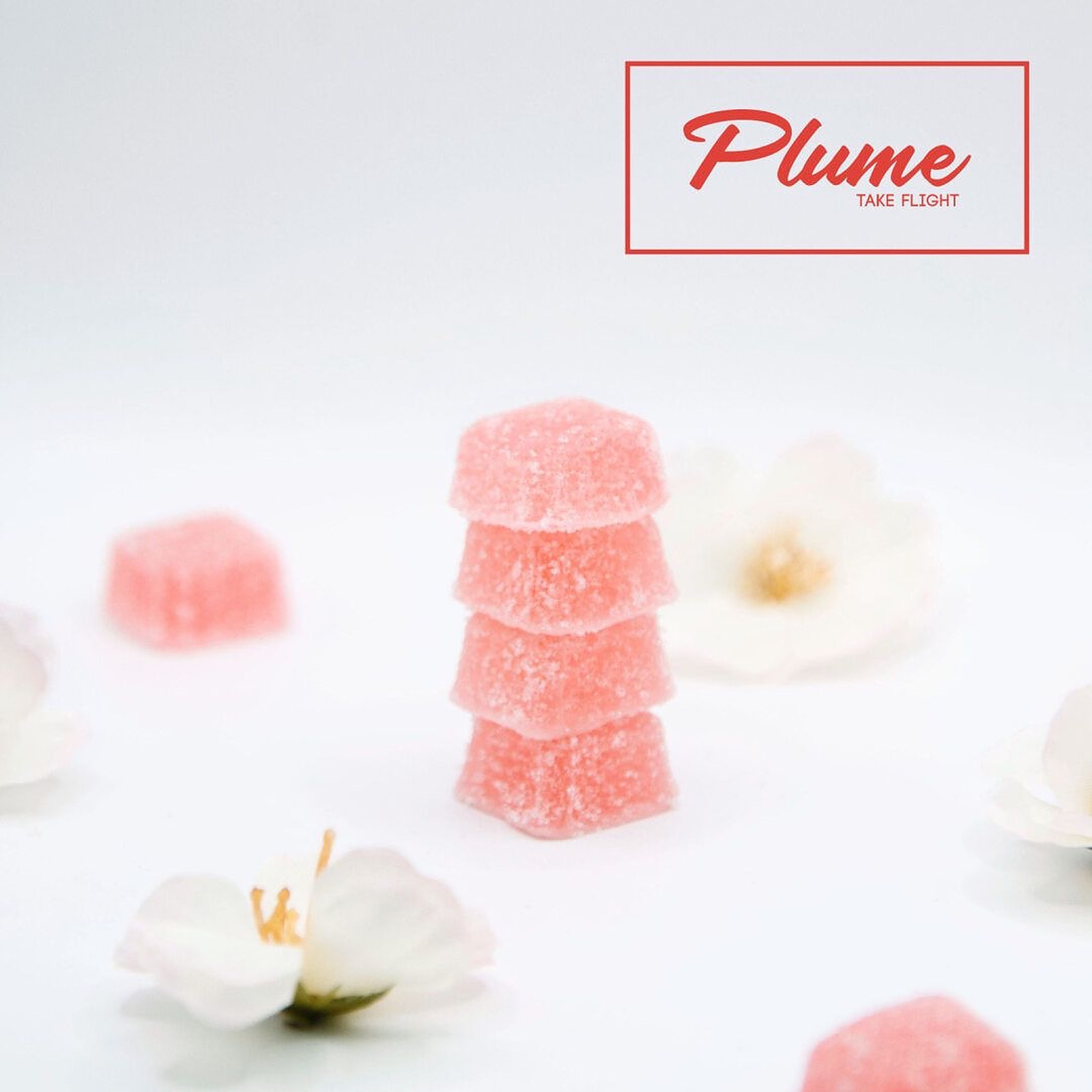 Plume: plume Cherry Blossom 100MG 10 Pack | Leafly