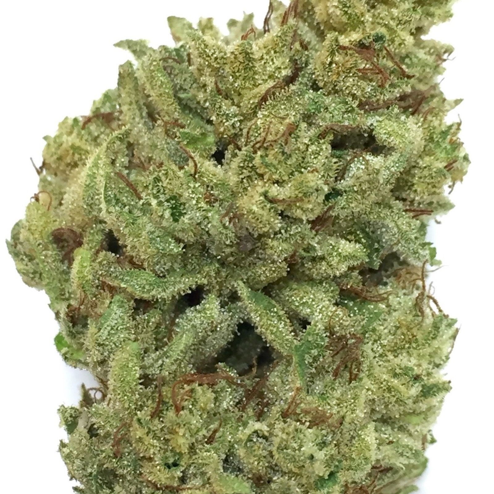 Rogue Farmer: GG4 (f.k.a. Gorilla Glue #4) | Leafly