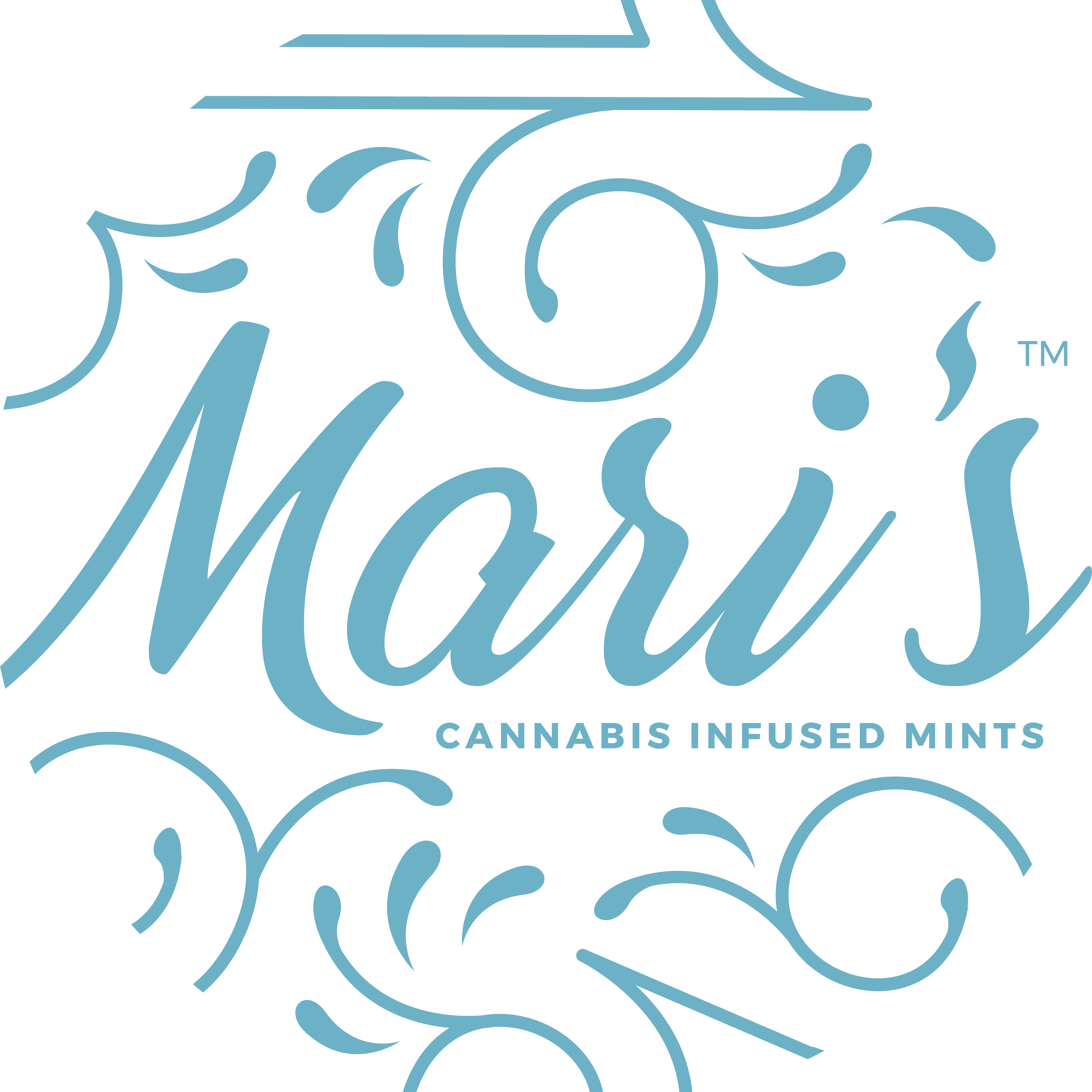 Mari's Mints: 1:1 Fulfill Mints Peppermint 200mg 10-pack | Leafly