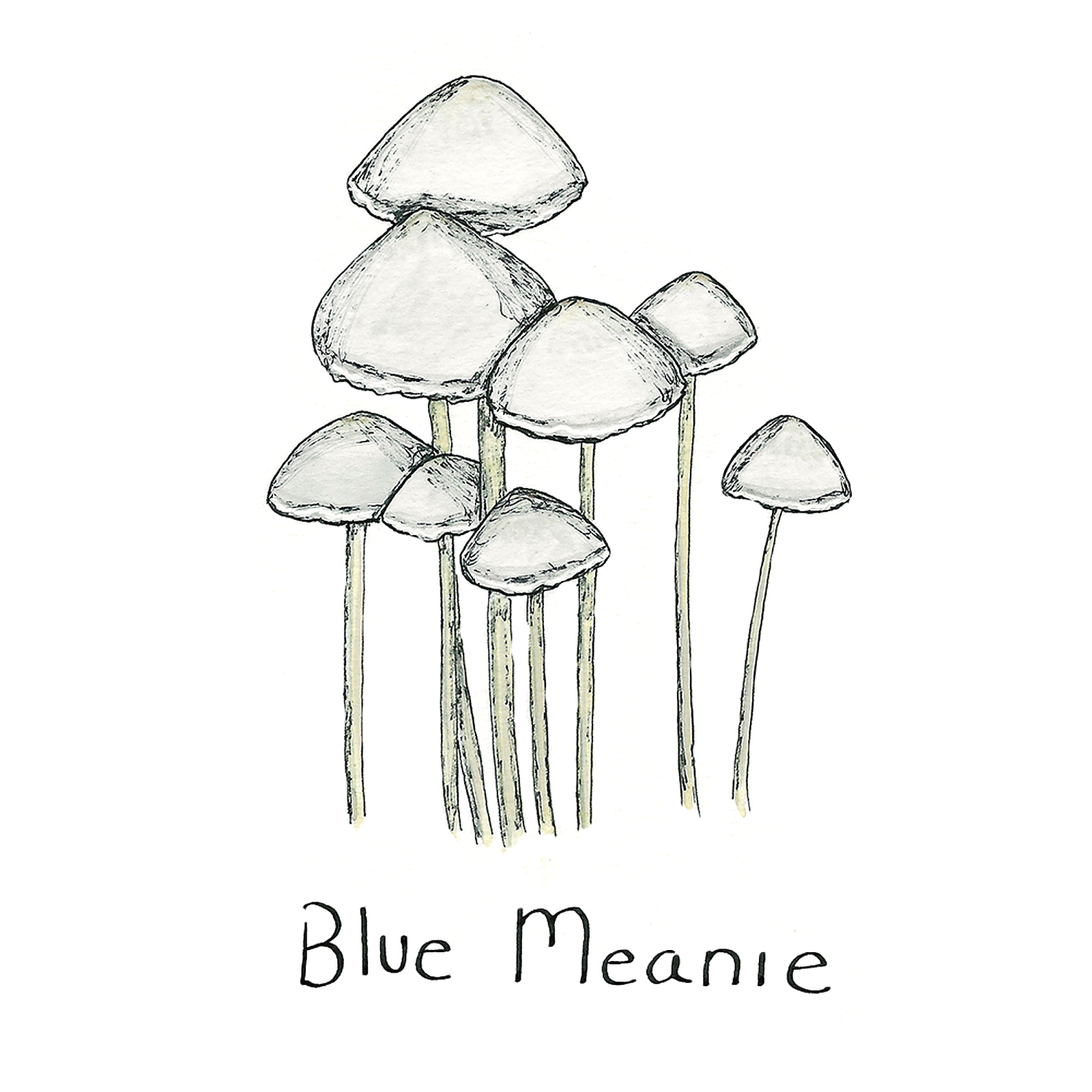 Fungushead: Blue Meanie Spore Syringe | Leafly