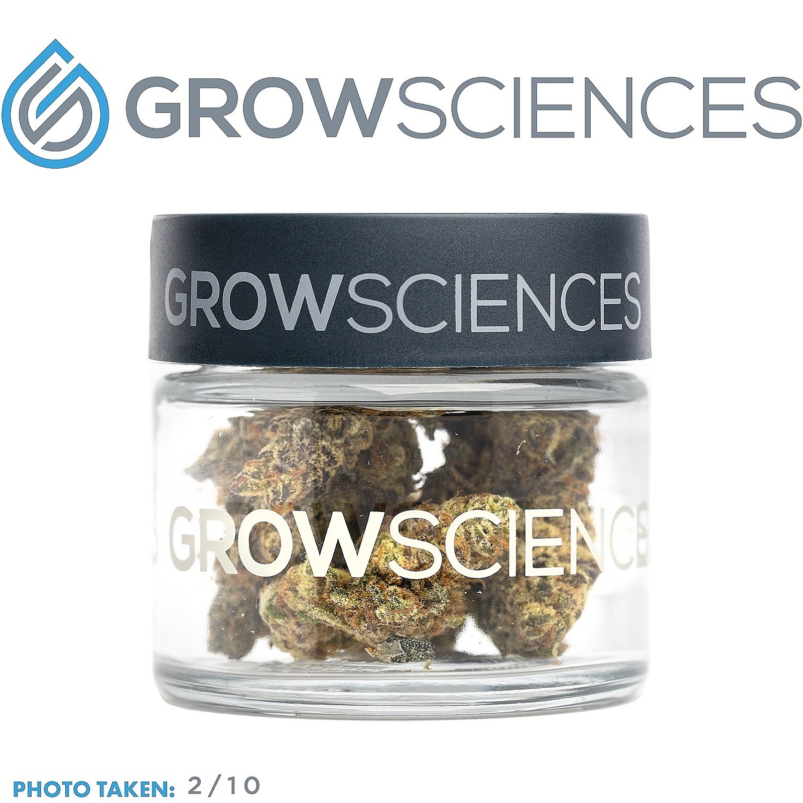 Grow Sciences: Grape Fritter (3.7) | Leafly