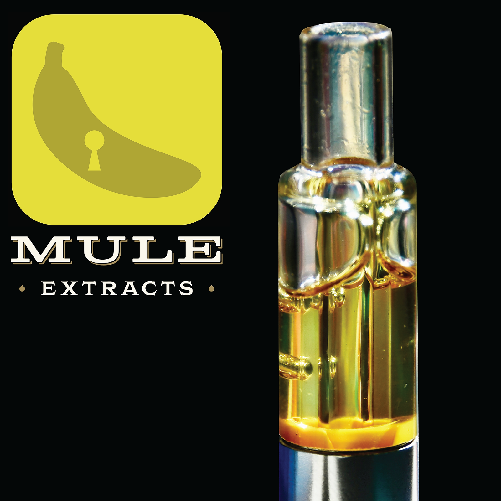 Mule Extracts: 1g Pure Live Resin Glass Cart - Forbidden Runtz 73.2% ...