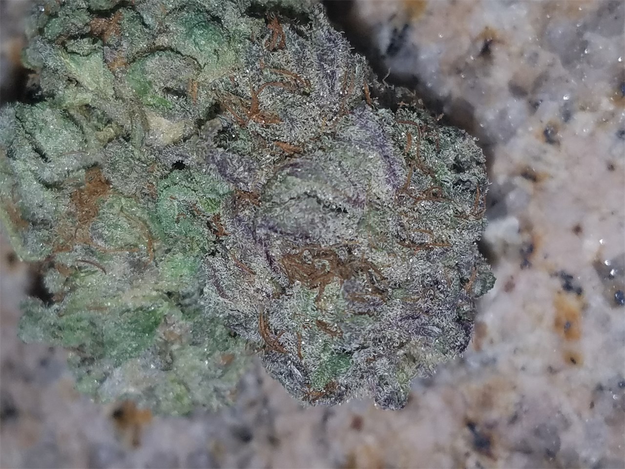 phoenix weed prices :iranmaybe: